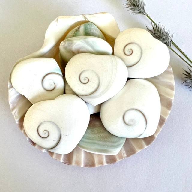 Shiva Shell is a petrafied shell created totally by nature.